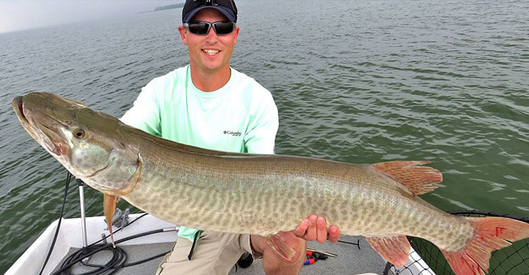 Why Catch and Release? | Michigan Muskie Alliance