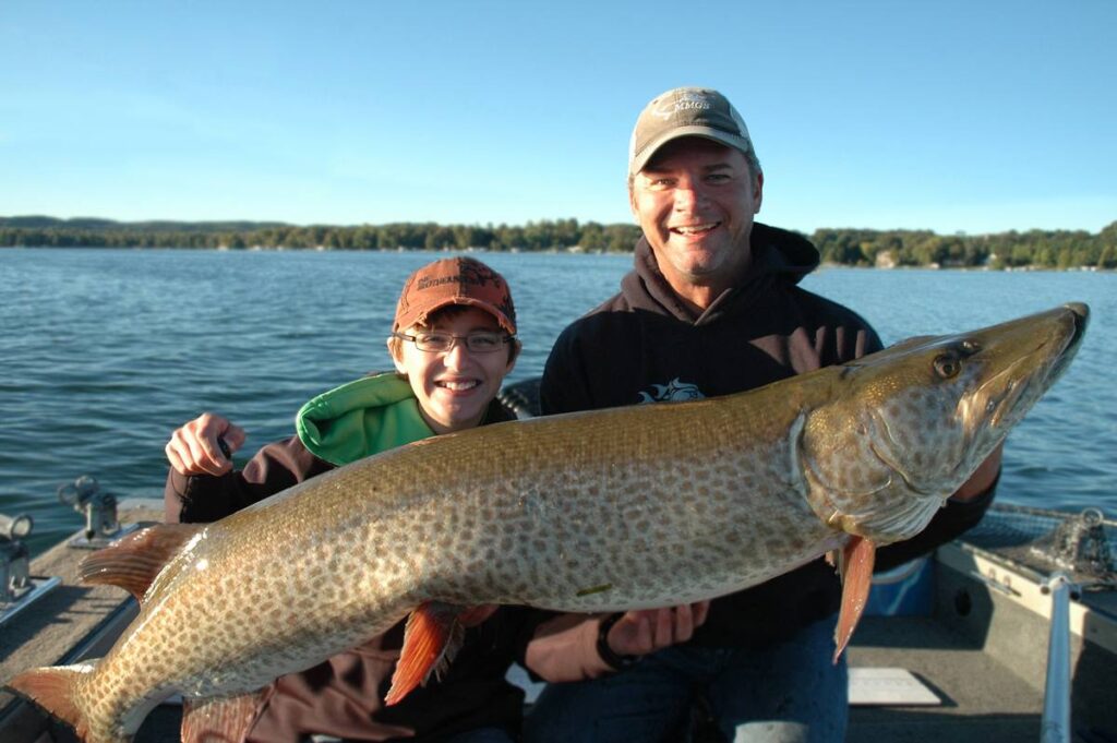Muskellunge – a Keystone Species – Michigan Muskie Alliance
